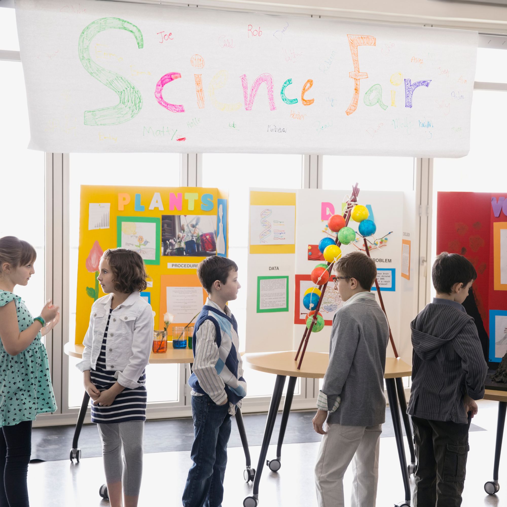 Science Fair Mentoring Project – Catherine Haslag