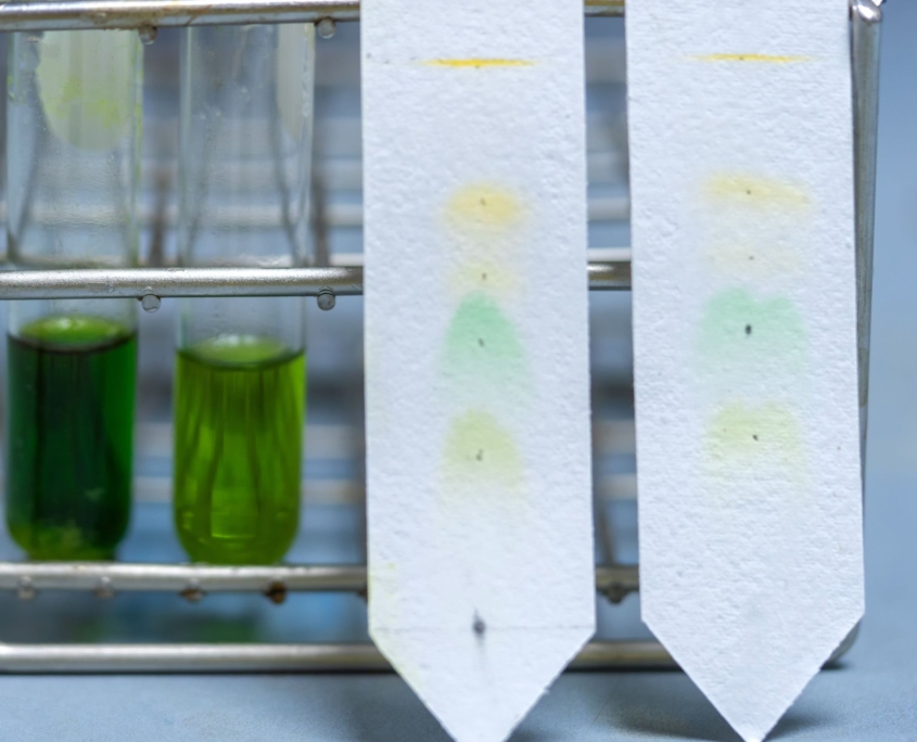 CHEM 1000 – Introduction to Chemistry Laboratory Manual – Catherine Haslag