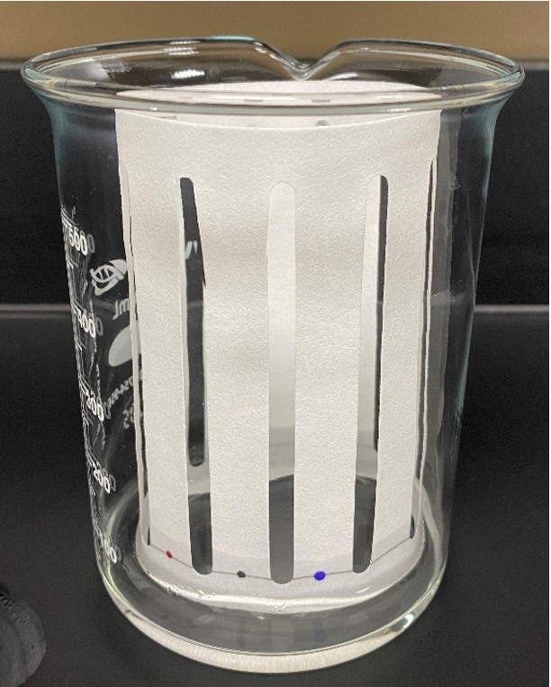Paper Chromatography of Food, Drug, and Cosmetic Dyes – Catherine Haslag